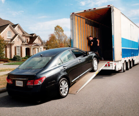 Cheap Budget Car / Vehicle Moving / Shifting Service Company